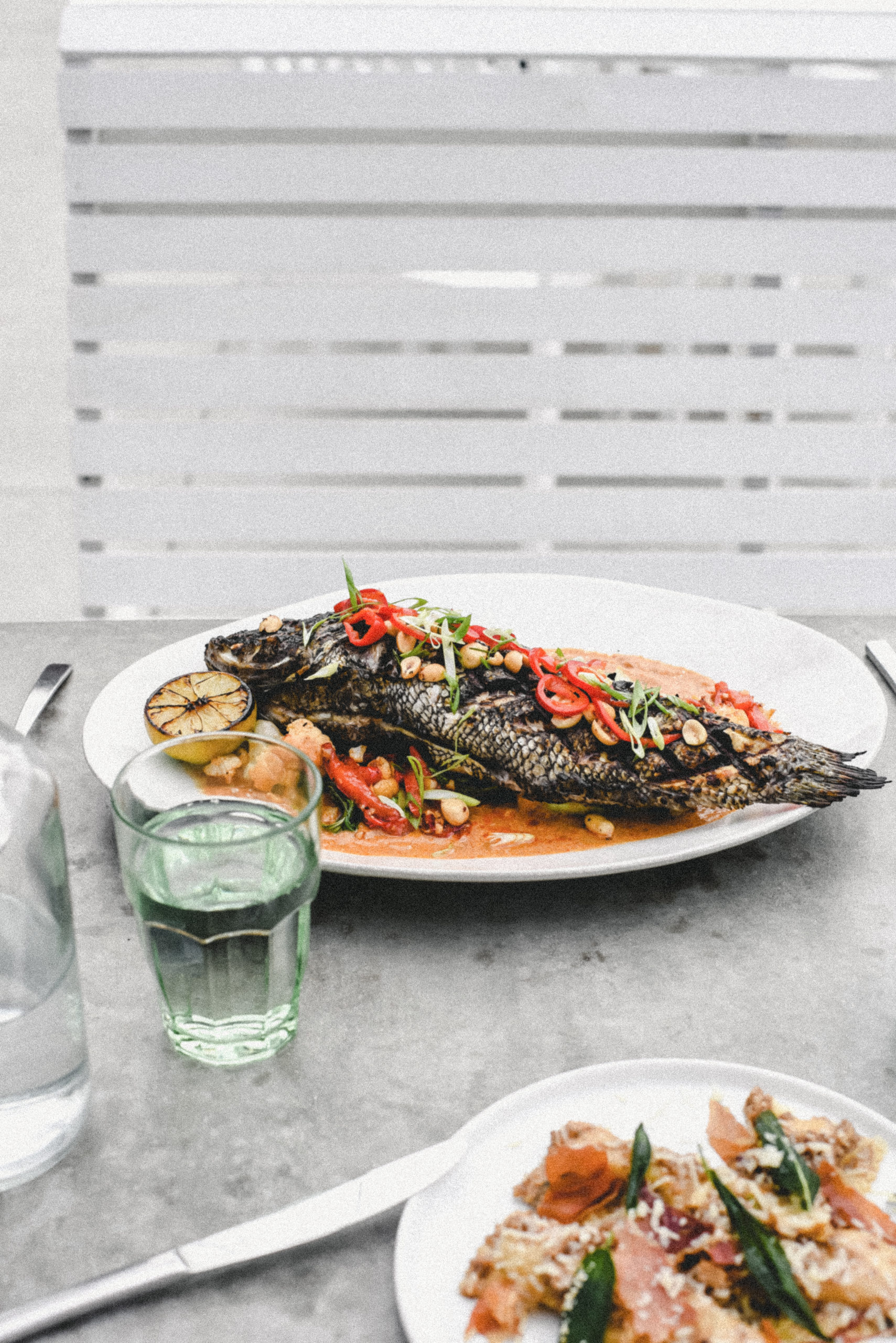 How To Get Started in Restaurant Photography - Bee The Love